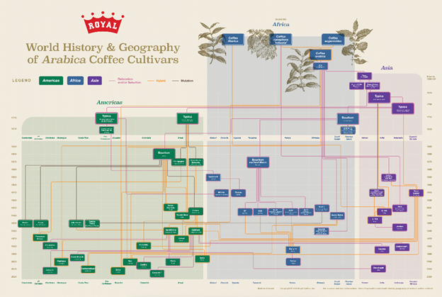 Royal coffee arabica chart
